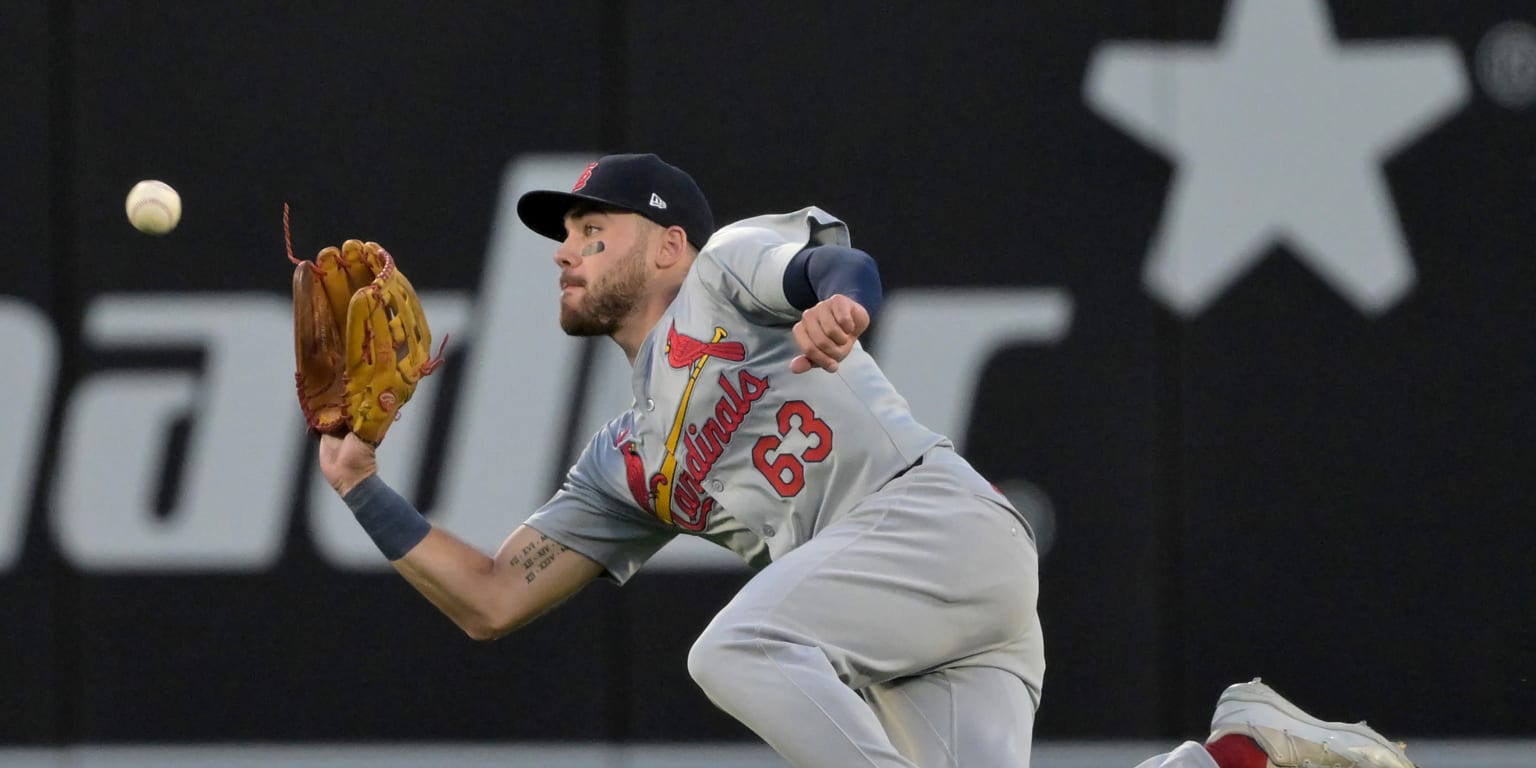 Michael Siani's contributions key for Cardinals in 2024