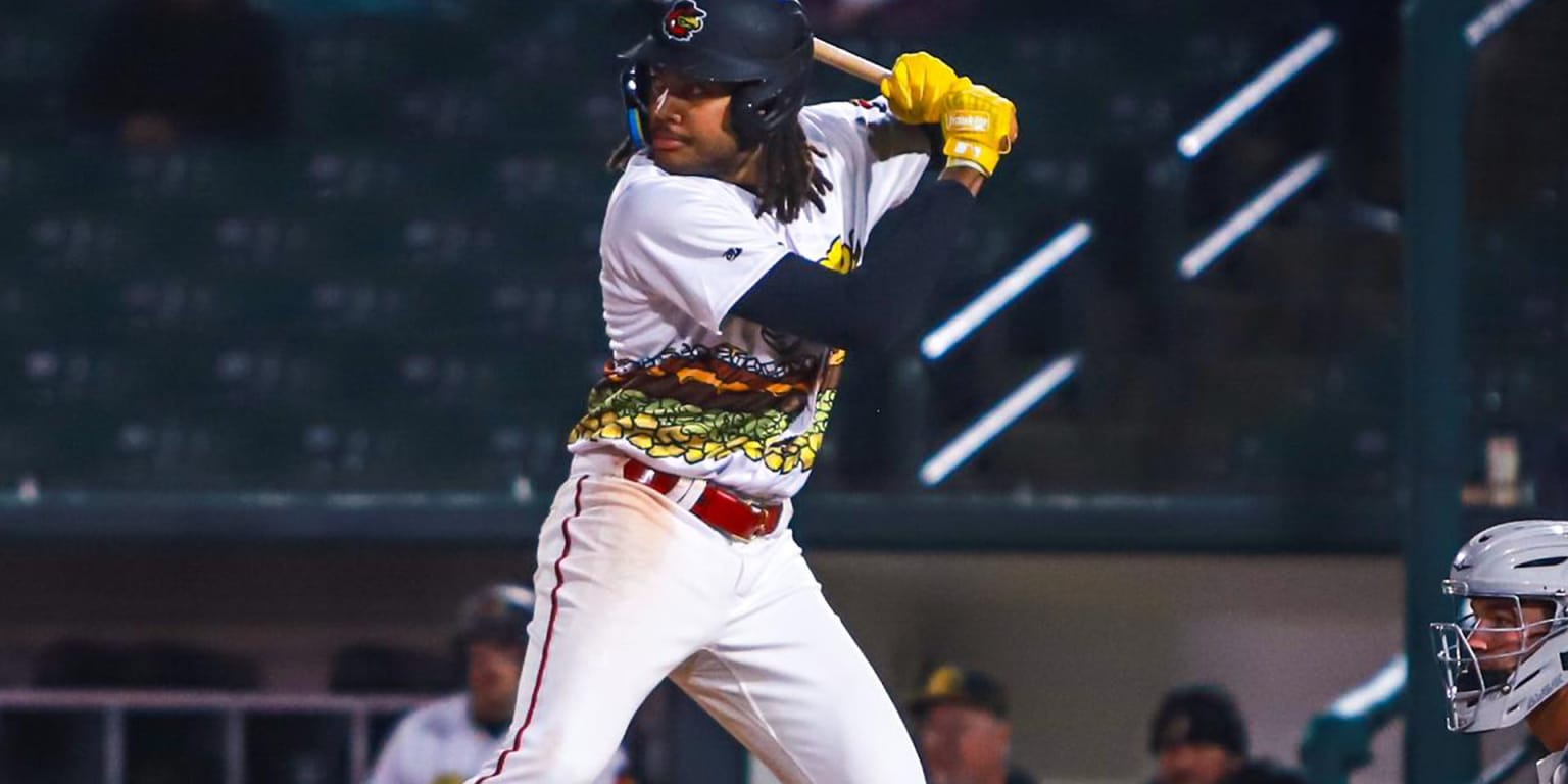 James Wood's 2024 Minor League stats analyzed