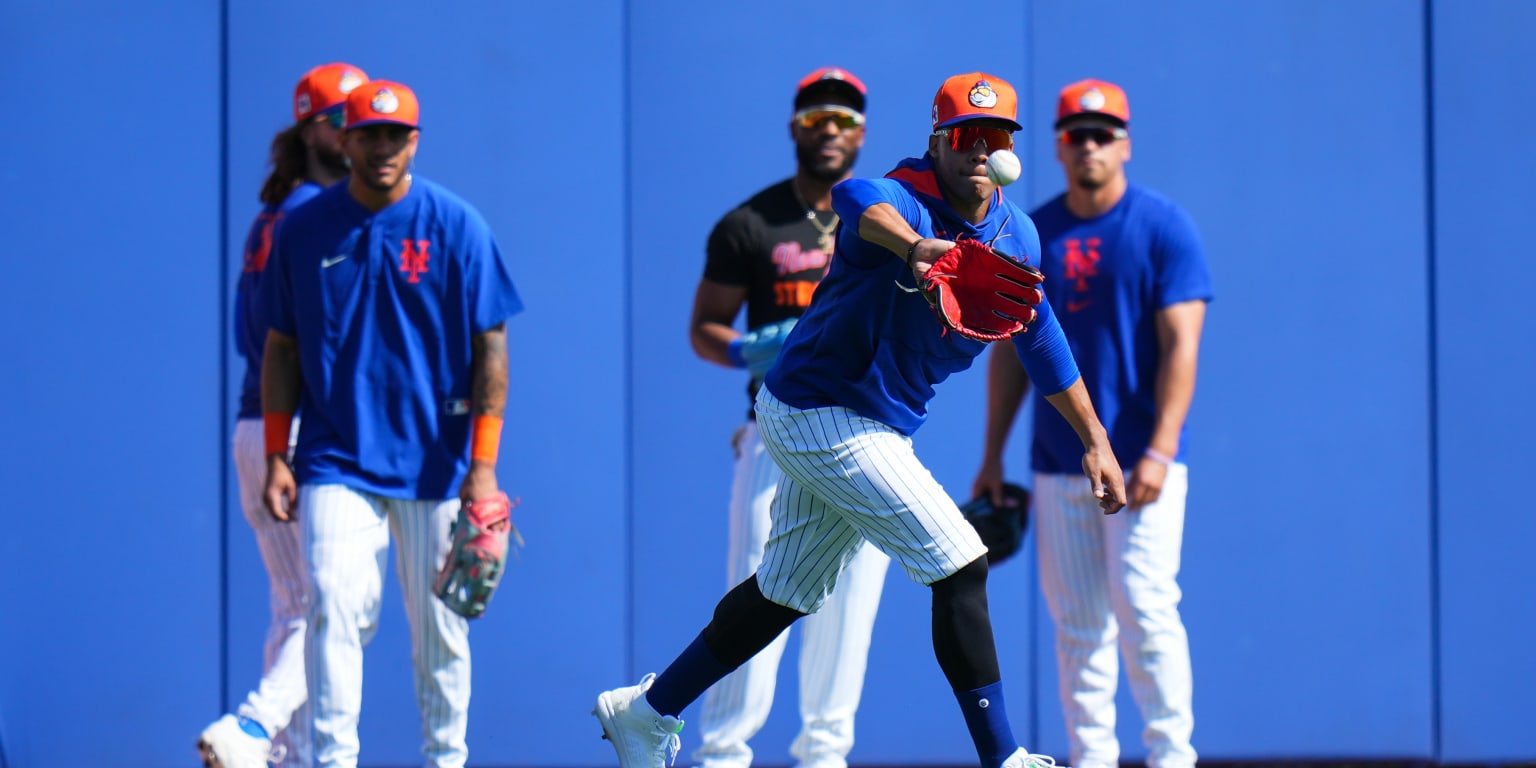 Mets navigating Spring Training with large number of players