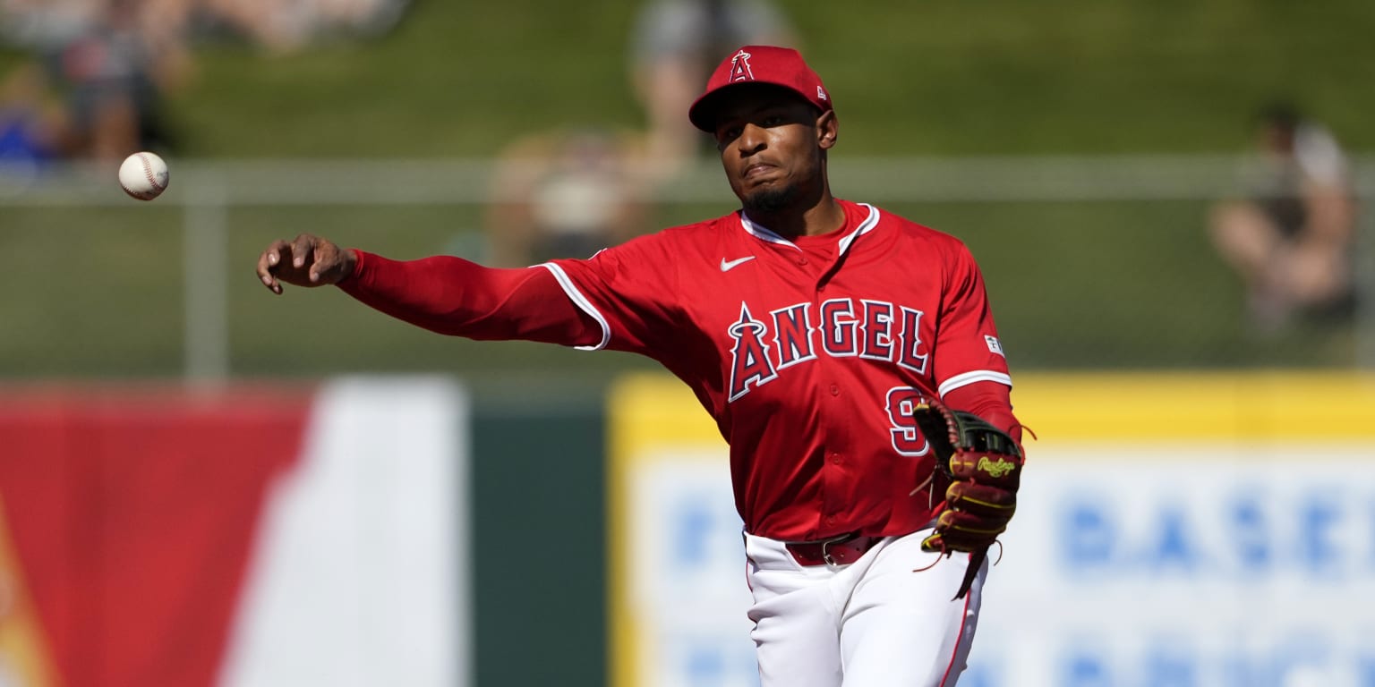 Tim Anderson, Christian Moore headline Angels' bench candidates