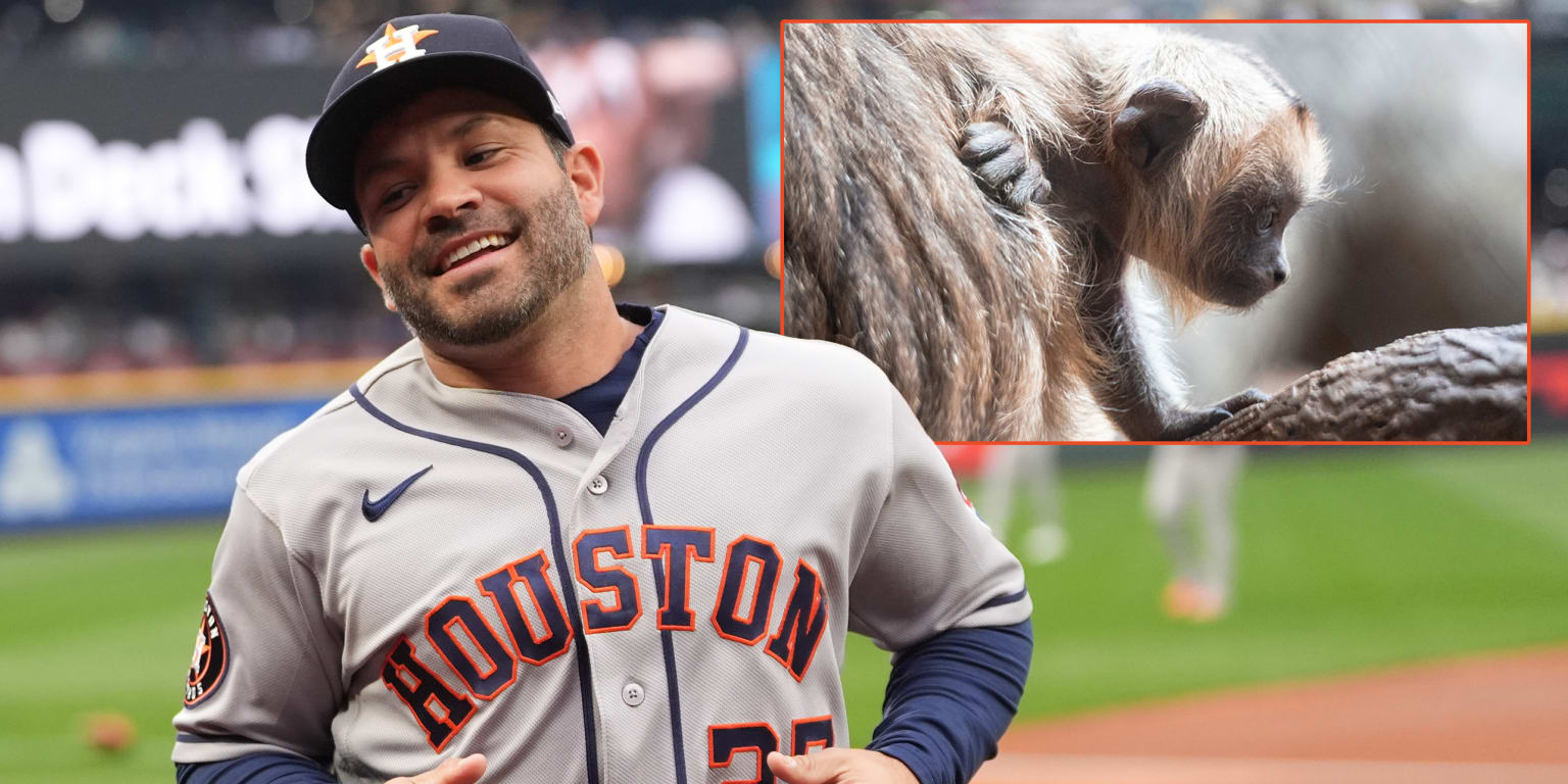 Houston Zoo names baby howler monkey after Jose Altuve