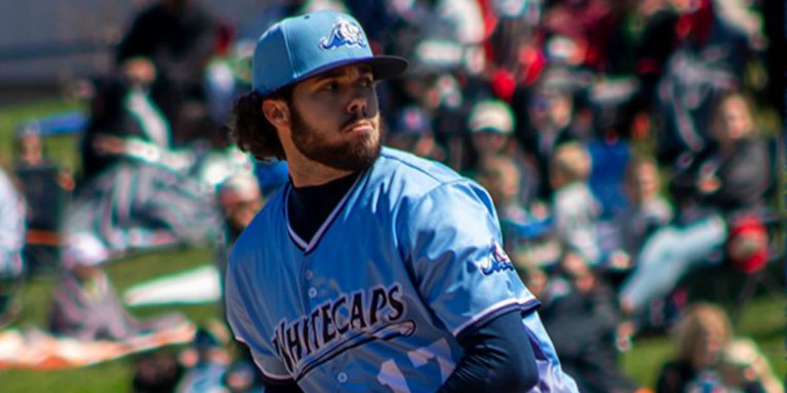 Jaden Hamm climbs Tigers' top prospects list with 2024 season