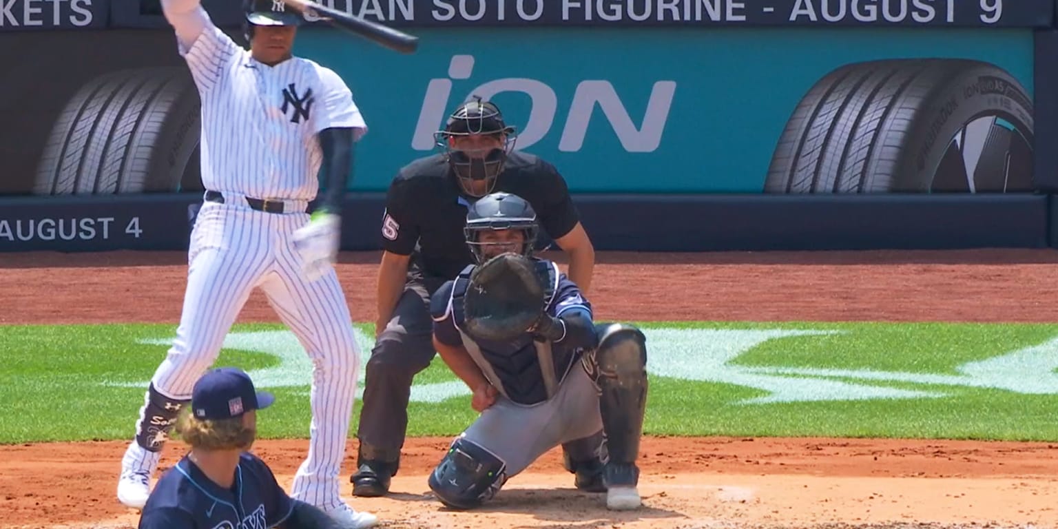 Juan Soto distracted by flying bug during at-bat