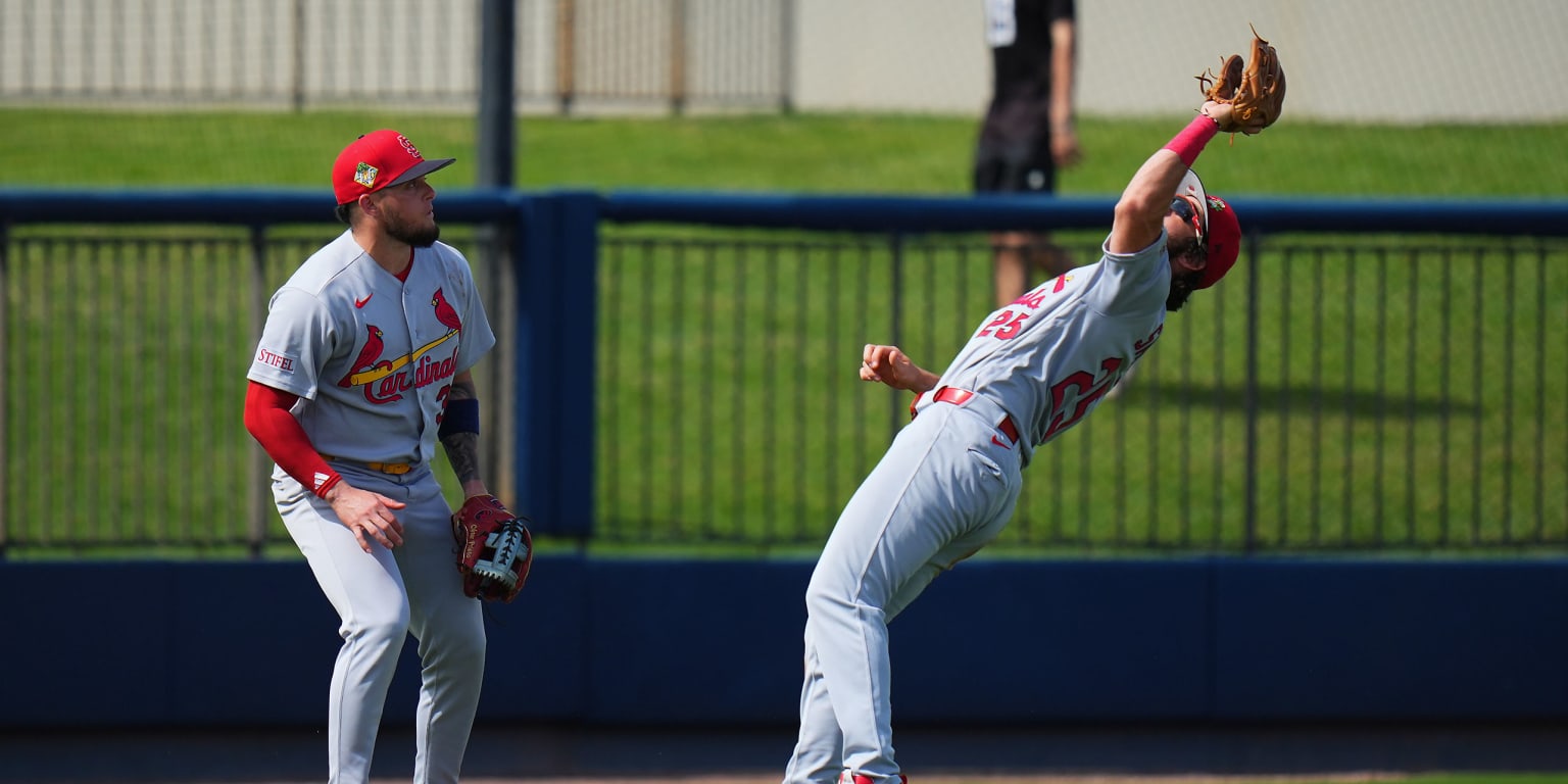 Thomas Saggese plays left field for Cardinals