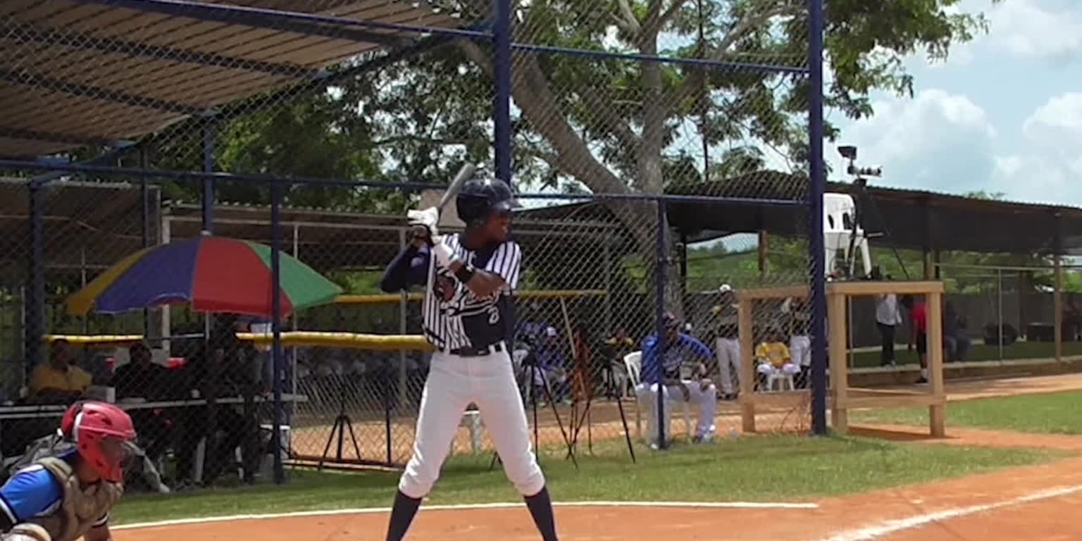 D-backs sign top international prospects Adriel Radney, Belfi Rivera