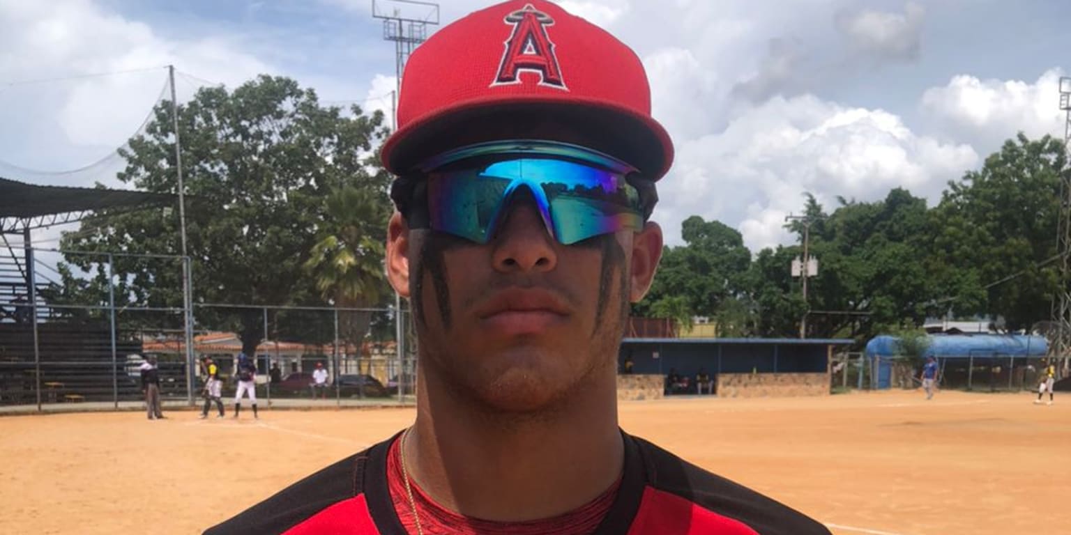 Gabriel Davalillo signed by Angels as international prospect