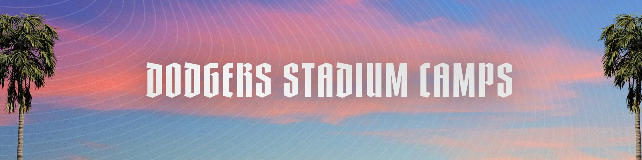 Stadium Series Camps | Los Angeles Dodgers