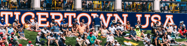 Spring Training | Detroit Tigers