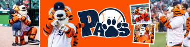 PAWS | Detroit Tigers