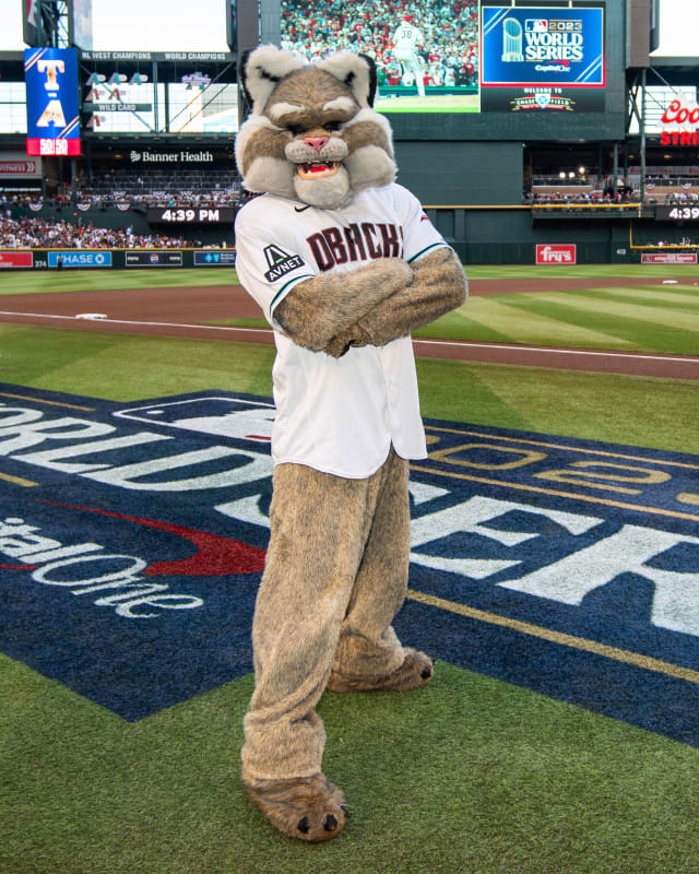 D. Baxter the Bobcat | Arizona Diamondbacks
