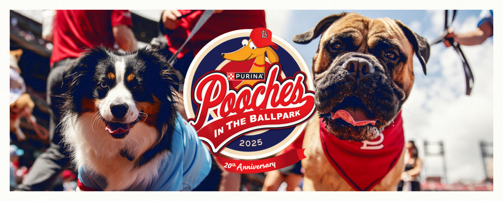 Pooches in the Ballpark | St. Louis Cardinals