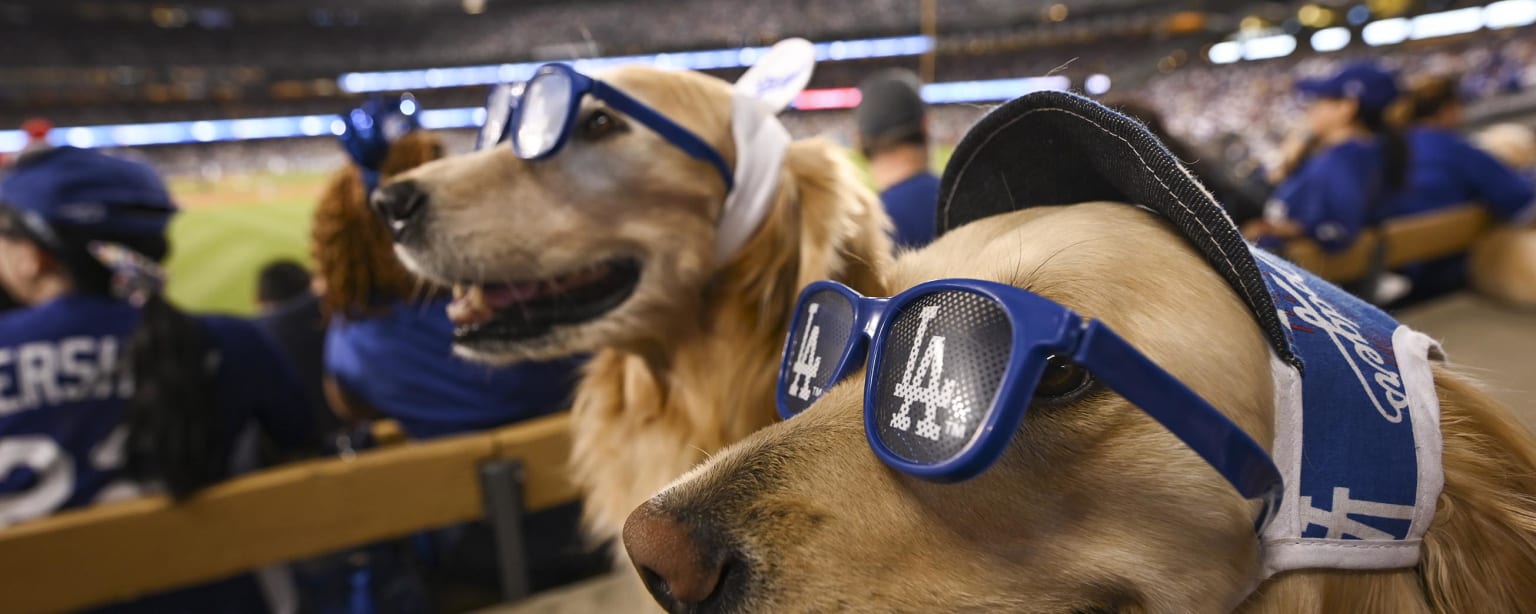 Pups in the Park | Los Angeles Dodgers