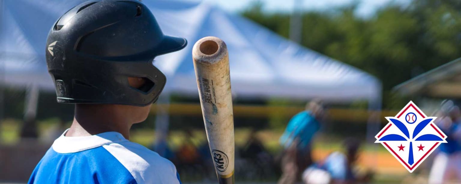 Amateur Scouting League | MLB.com