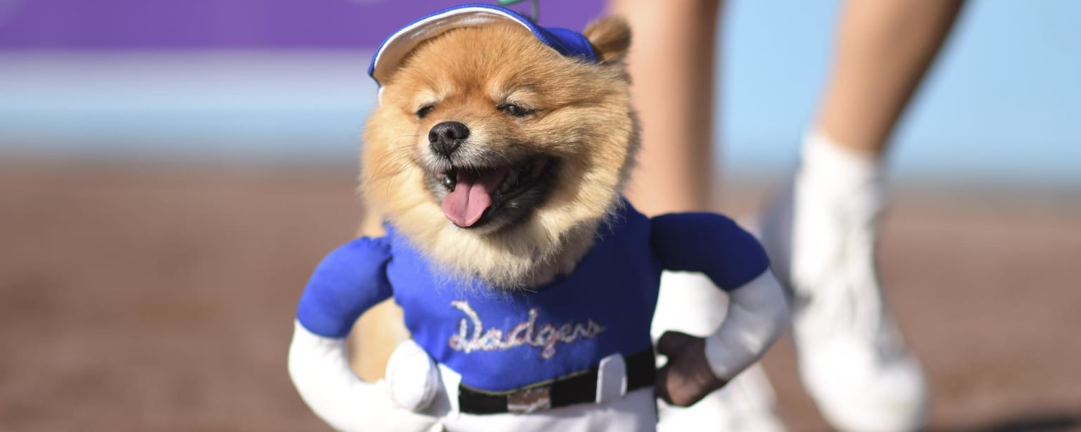 Pups in the Park | Los Angeles Dodgers