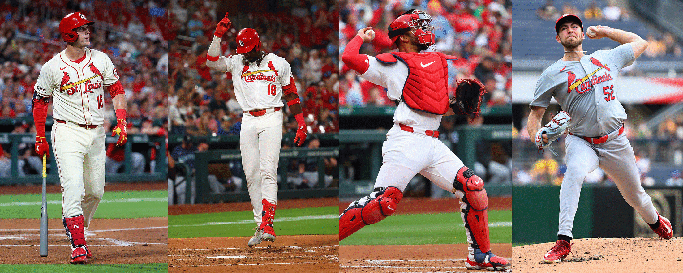 Cardinals baseball store