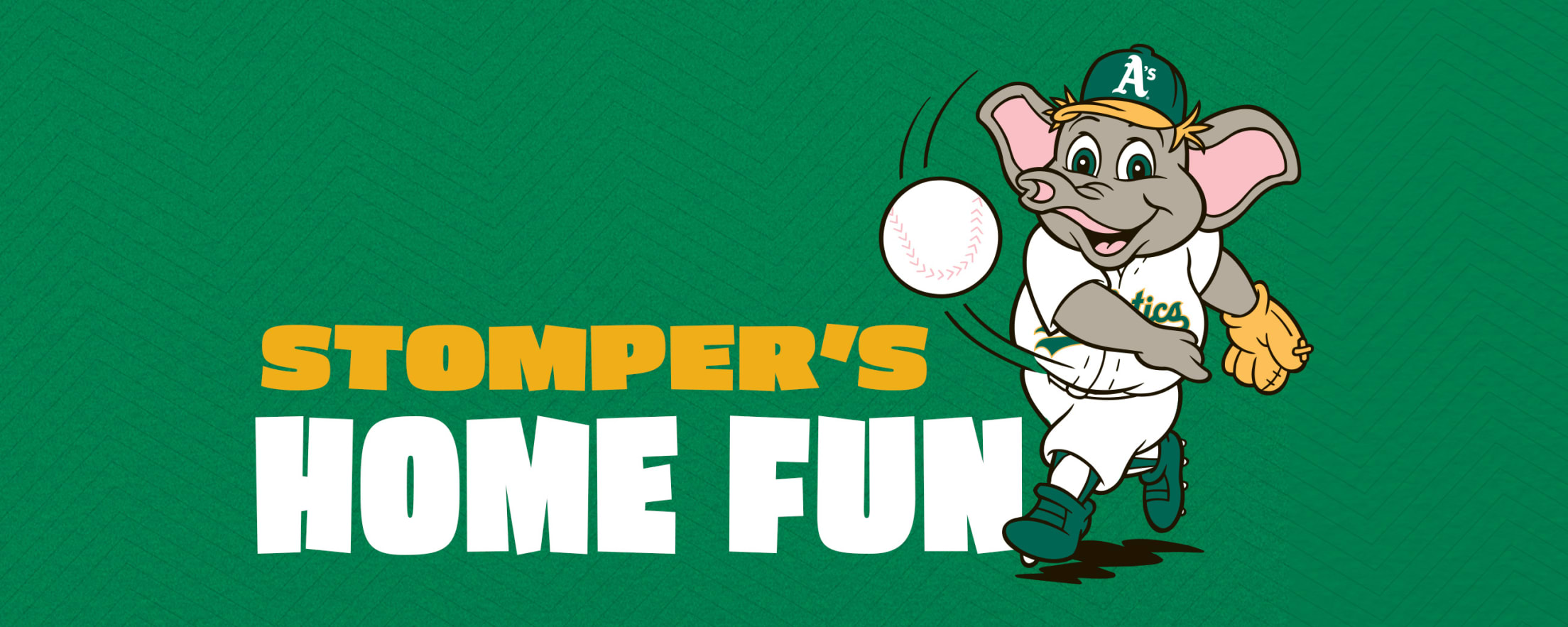 Stomper's Home Fun | Athletics