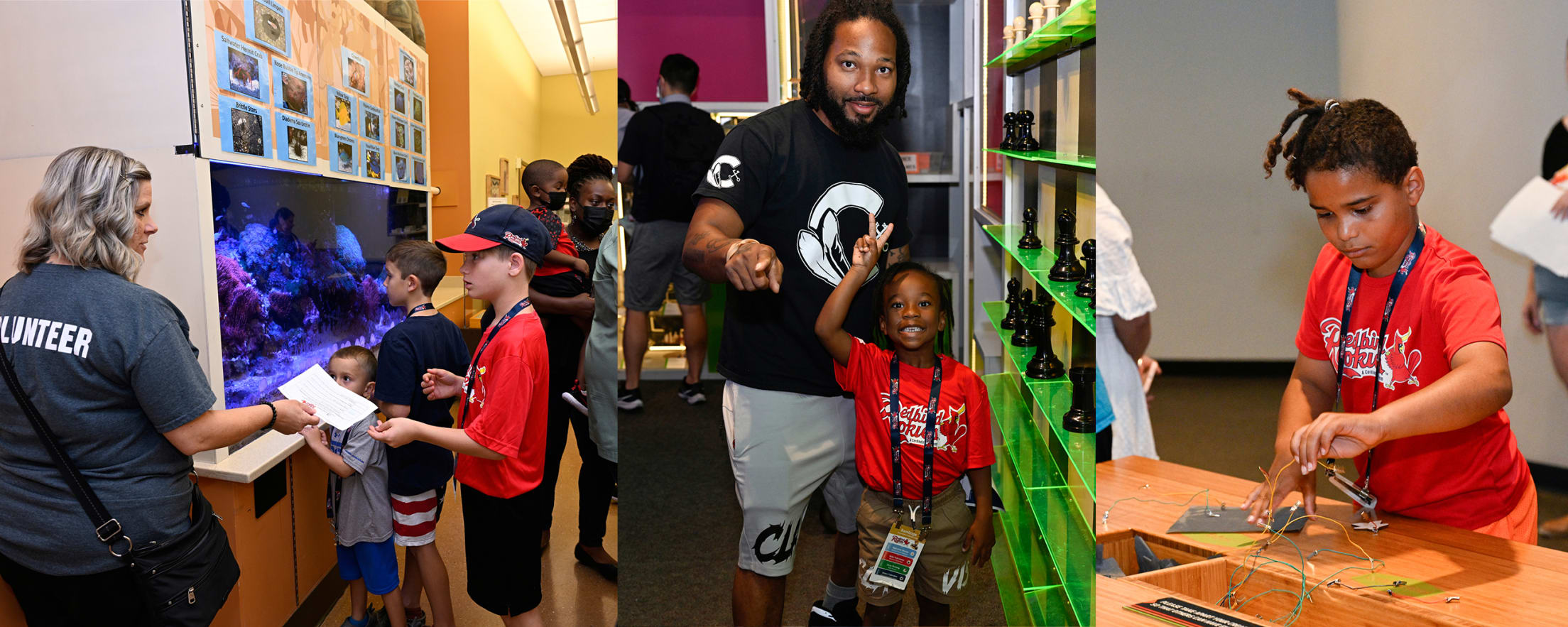 Redbird Rookies Night at the Ballpark | St. Louis Cardinals