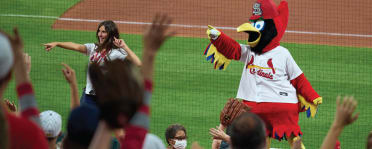 Team Fredbird | St. Louis Cardinals