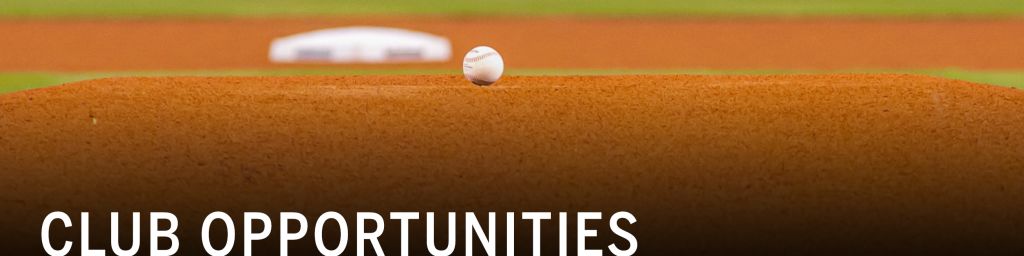 MLB Team Opportunities | Careers | MLB.com