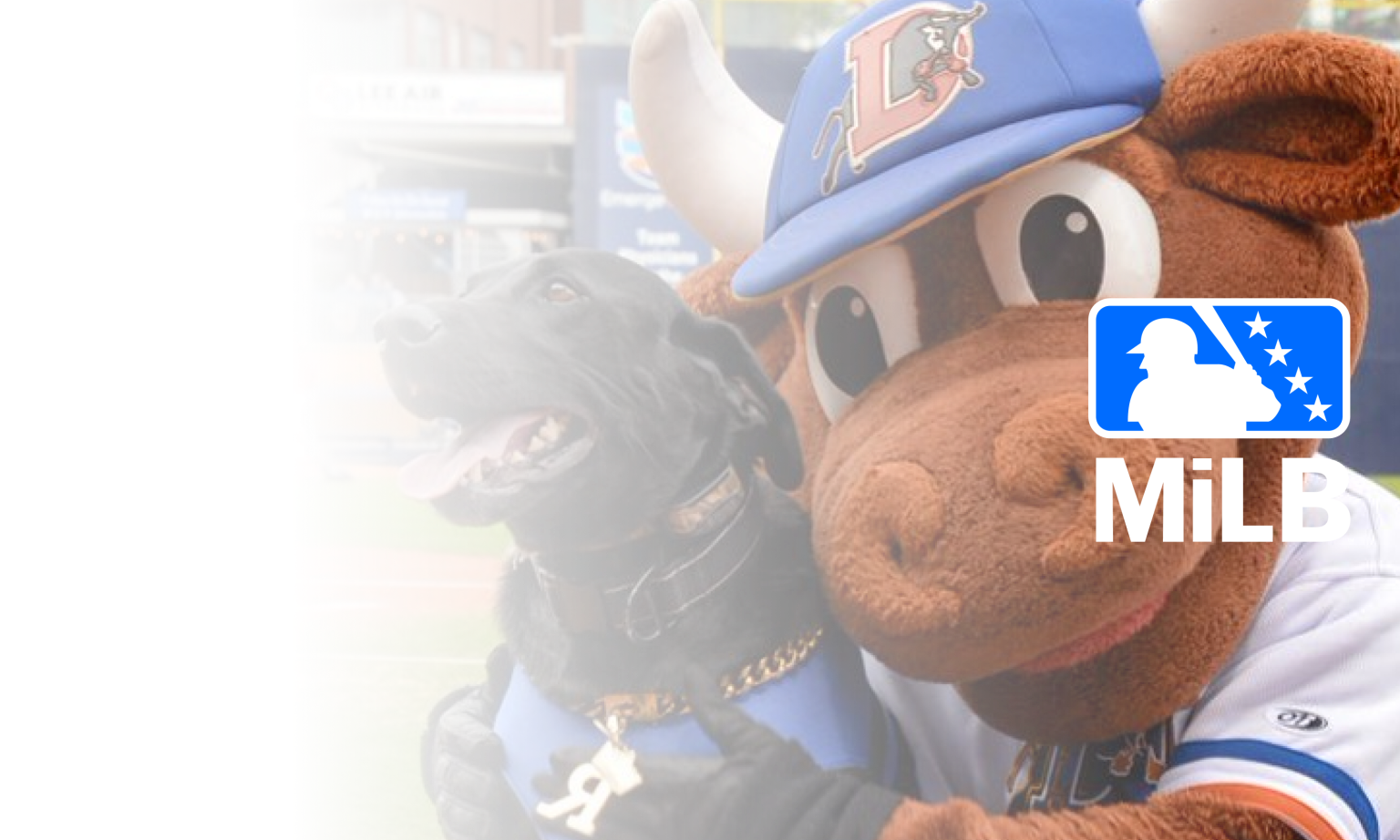 MLB.TV Out-Of-Market Packages | Buy MLB.TV | MLB.com