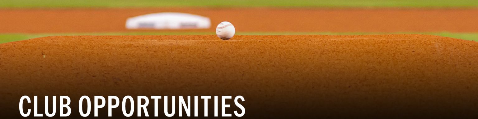 MLB Team Opportunities | Careers | MLB.com