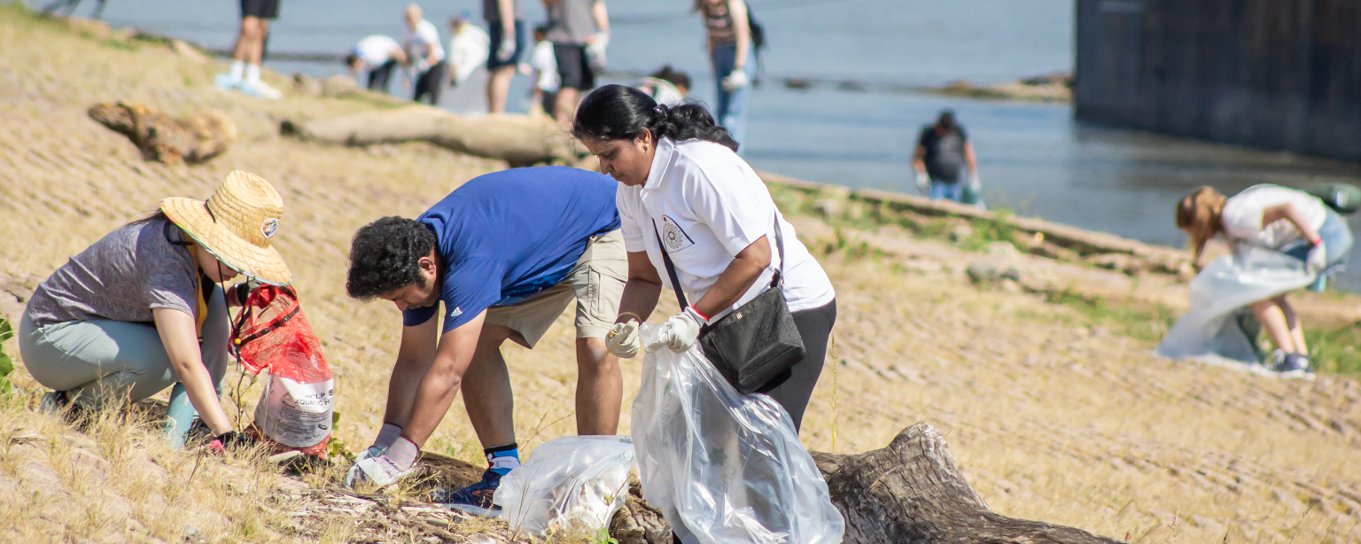 St. Louis Cardinals | St. Louis Cardinals
