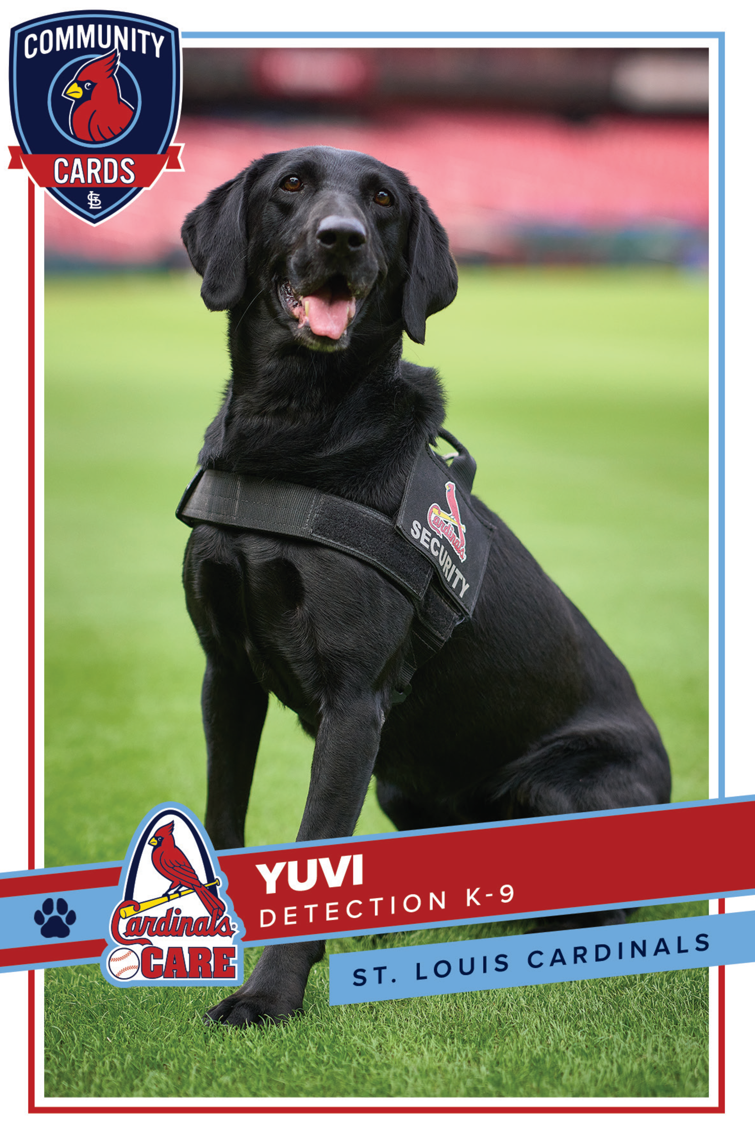 Community Cards | St. Louis Cardinals