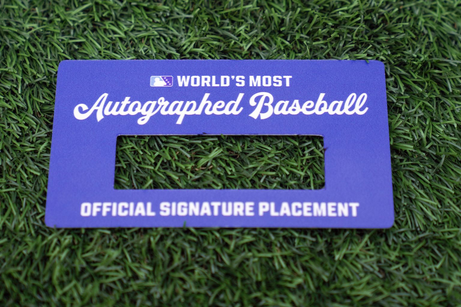 World's Most Autographed Baseball | Minor League Baseball
