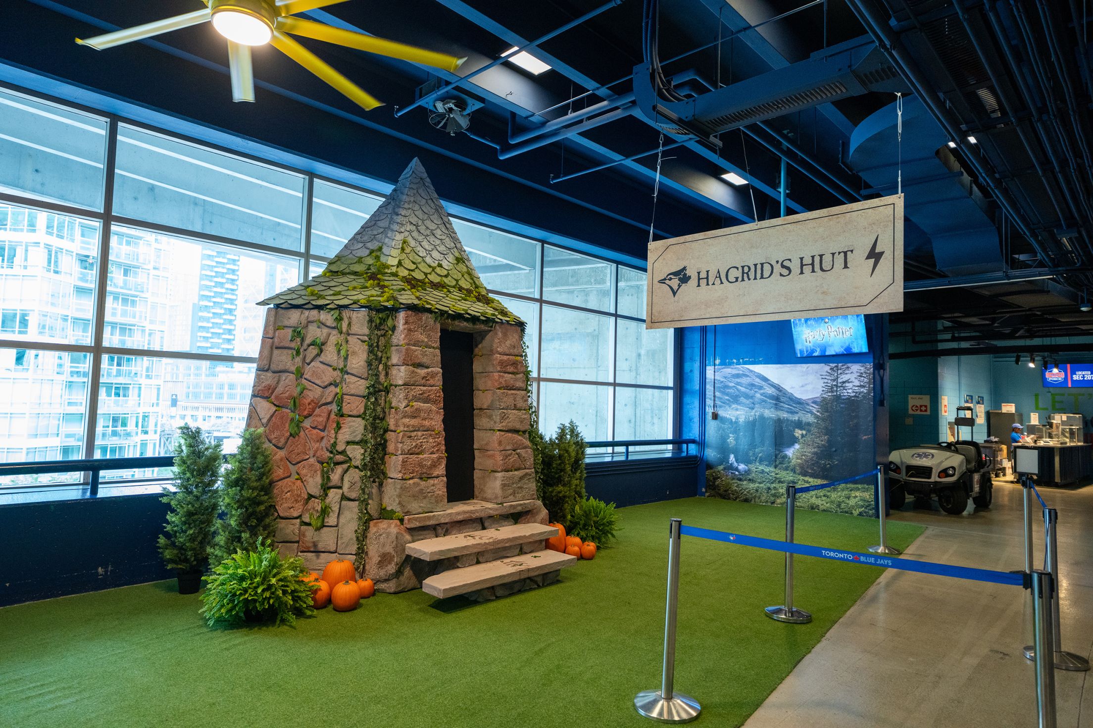 Theme Days Activations - Harry Potter Night | Toronto Blue Jays