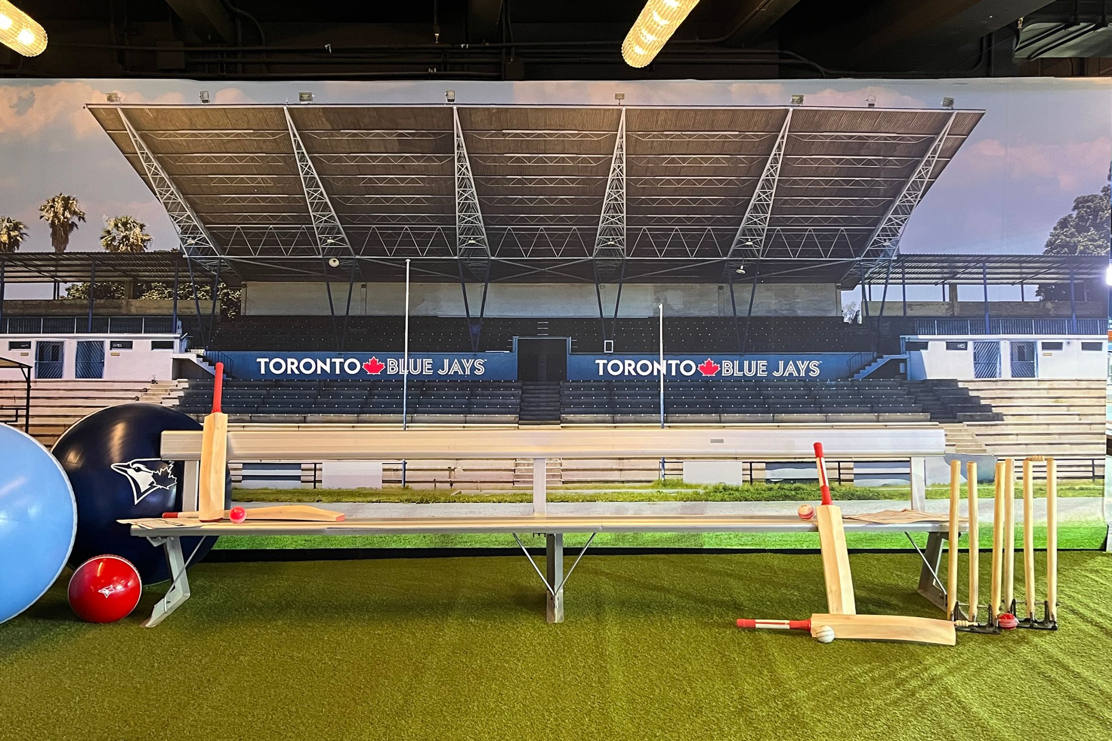 Cricket Day Activations | Toronto Blue Jays