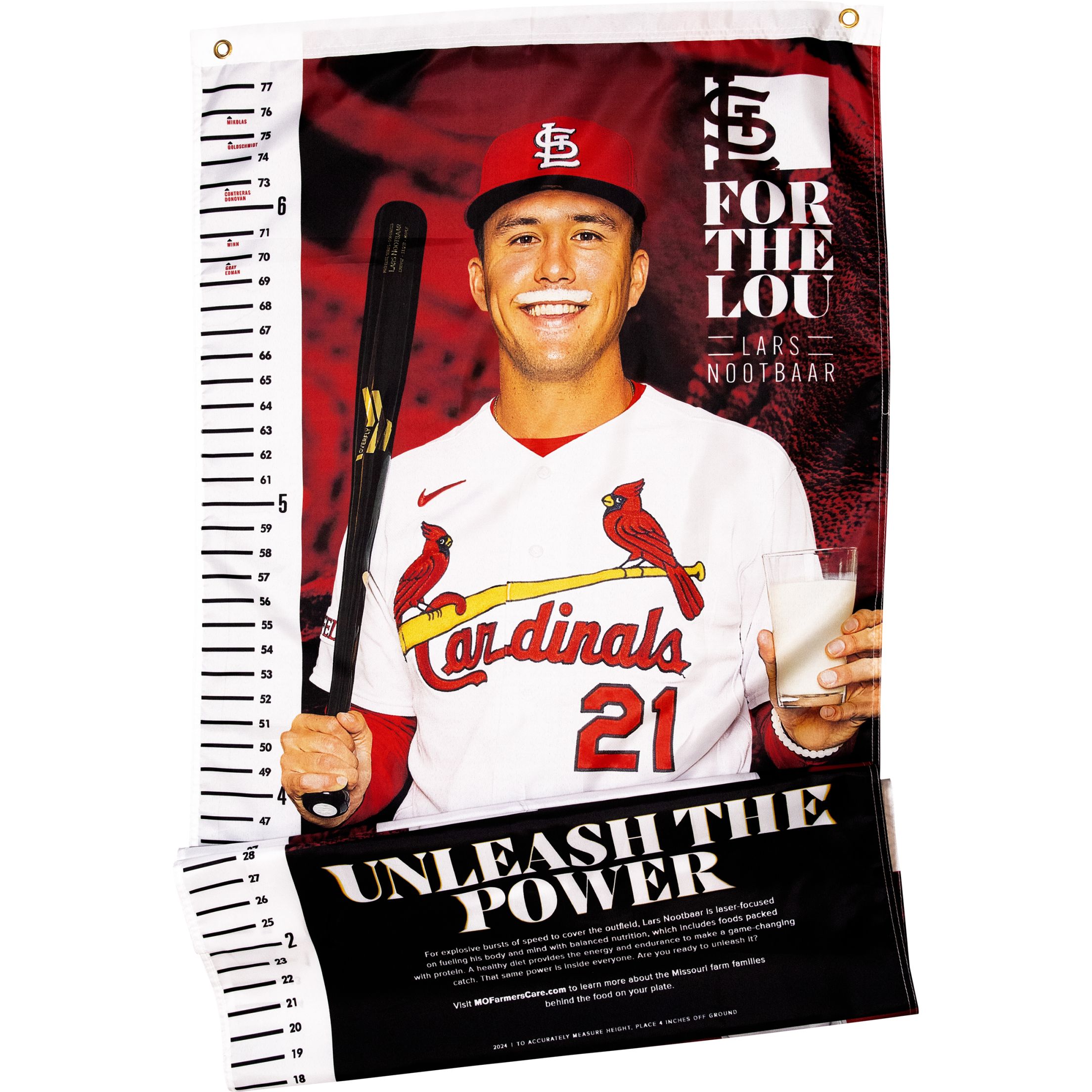 2024 Cardinals Promotions | St. Louis Cardinals