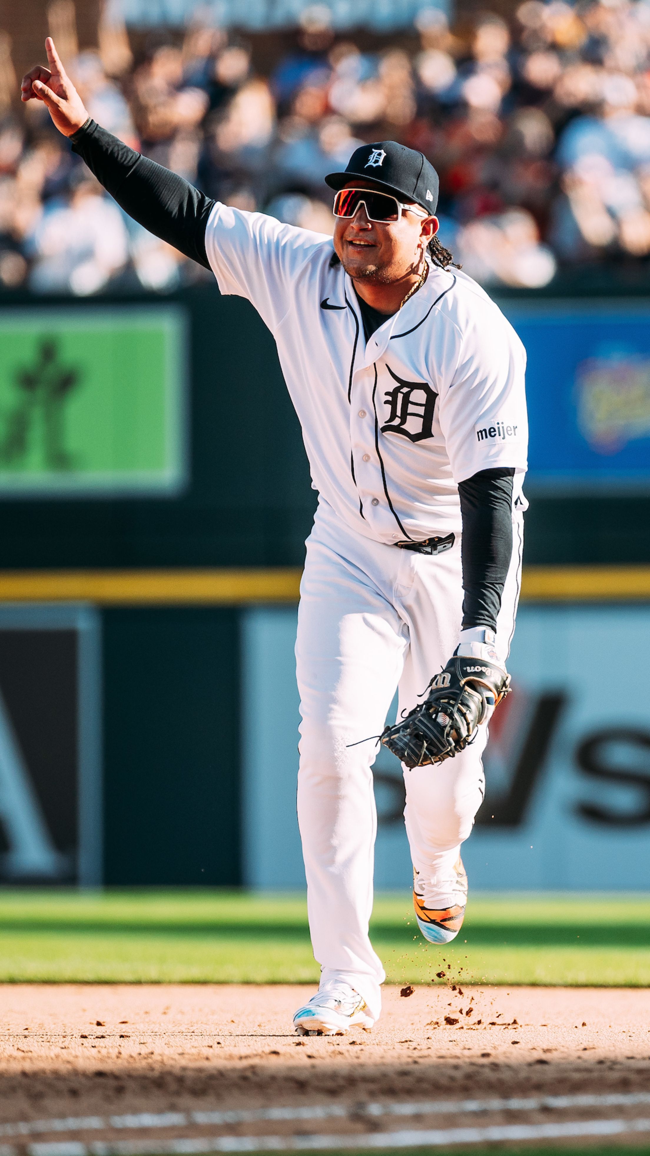 Wallpapers | Detroit Tigers