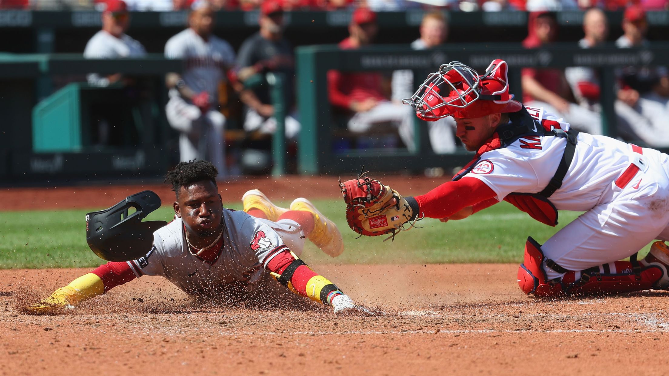 D-backs Photos | Arizona Diamondbacks