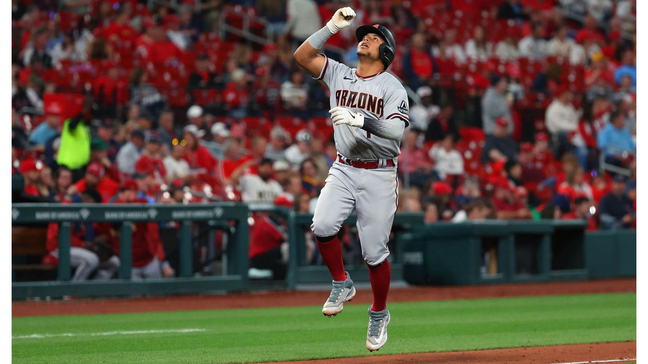 D-backs Photos | Arizona Diamondbacks