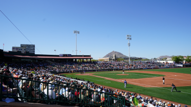 Giants Spring Training | San Francisco Giants
