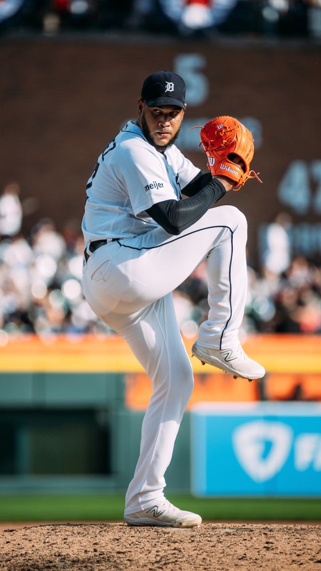 Wallpapers | Detroit Tigers