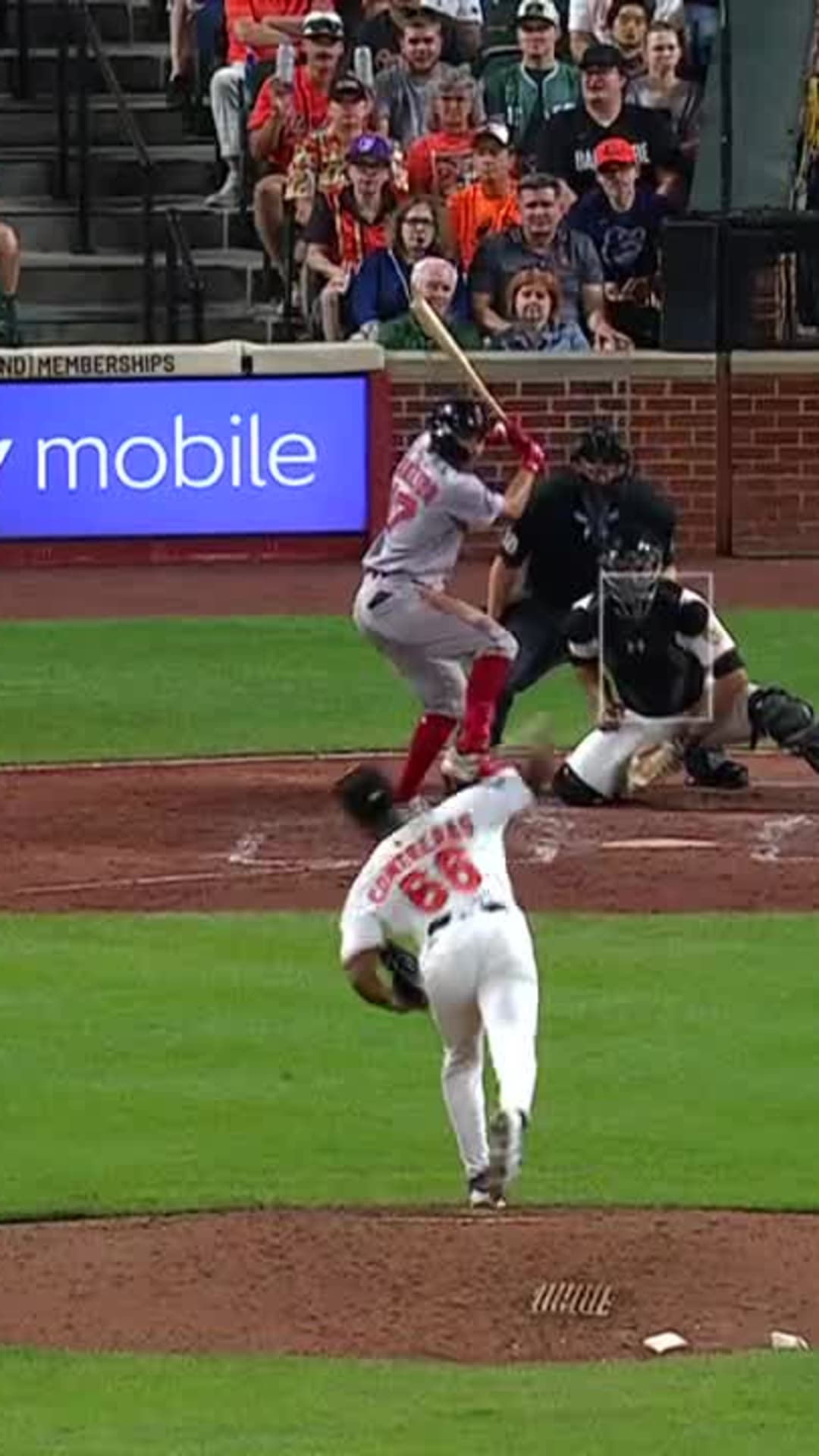 david hamilton stats