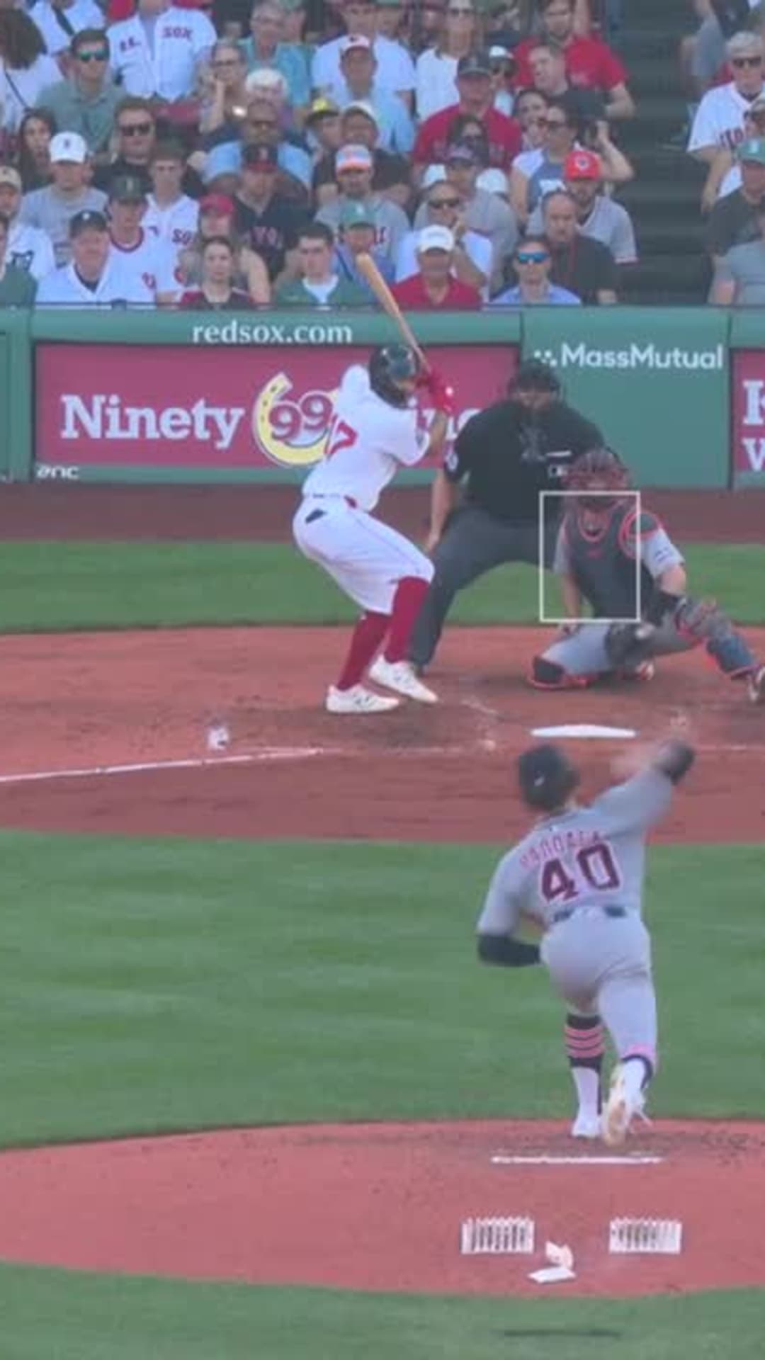 david hamilton stats