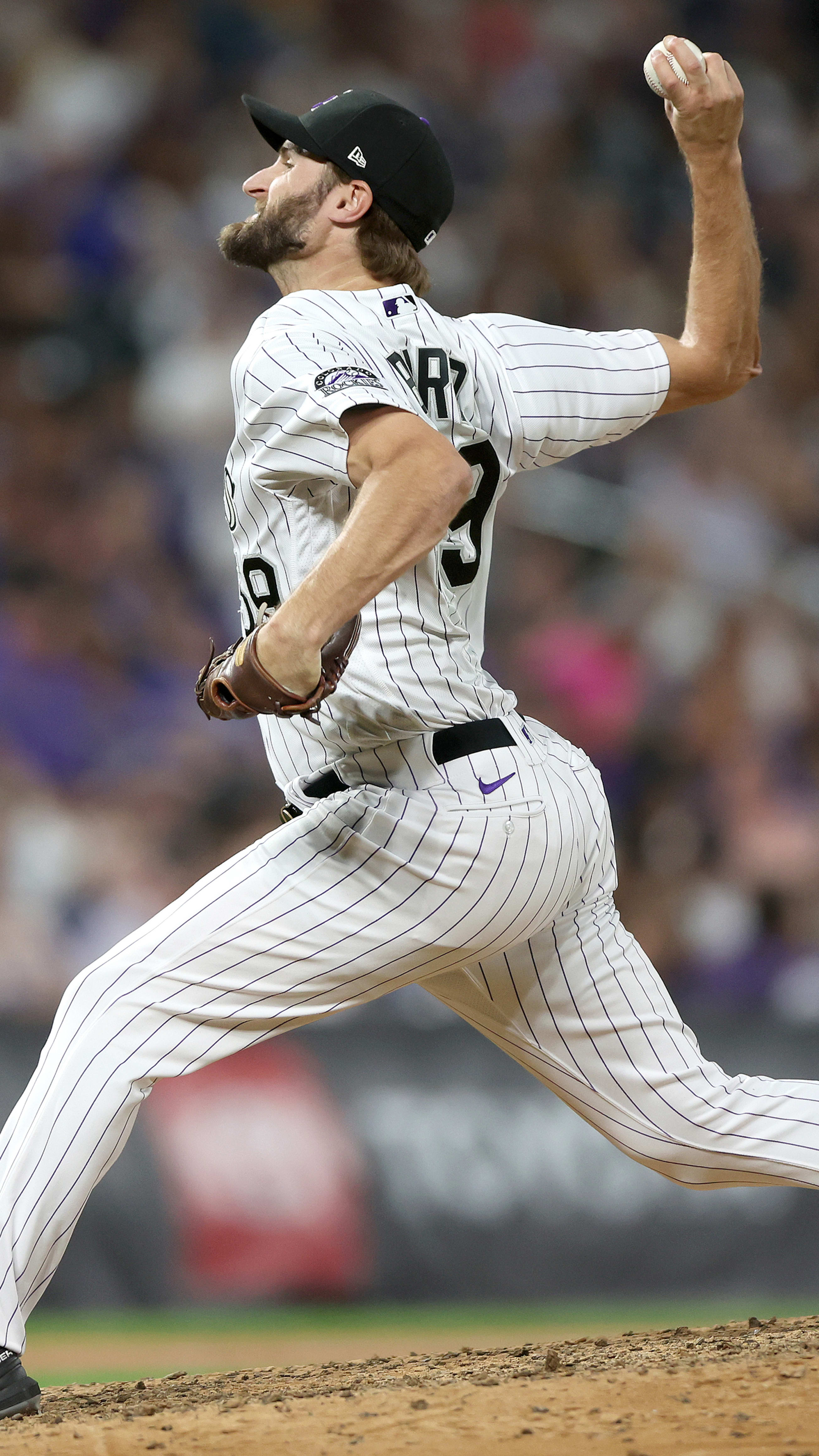 pitcher bird baseball