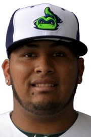 Jesus Rivas Stats, Age, Position, Height, Weight, Fantasy & News | MiLB.com