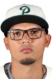 Hector Villarroel Stats, Age, Position, Height, Weight, Fantasy & News ...