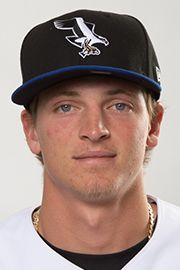 Mike Abreu Stats, Age, Position, Height, Weight, Fantasy & News | MiLB.com