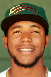 Luis Castro Stats, Age, Position, Height, Weight, Fantasy & News | MiLB.com
