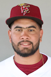 Bryan Delgado Stats, Age, Position, Height, Weight, Fantasy & News ...