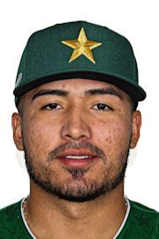 Joel Sosa Stats, Age, Position, Height, Weight, Fantasy & News | MiLB.com