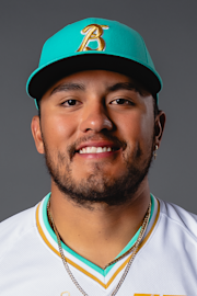 Roberto Castro Stats, Age, Position, Height, Weight, Fantasy & News ...