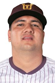 Omar Araujo Stats, Age, Position, Height, Weight, Fantasy & News | MiLB.com