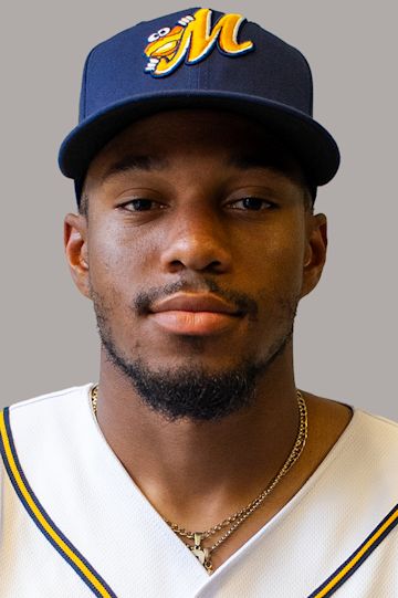 Rays Top Prospects | MiLB.com