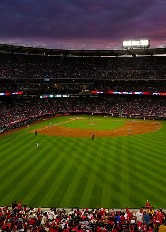 Chad Wallach Career Stats & Trading Cards | MLB | Los Angeles Angels ...