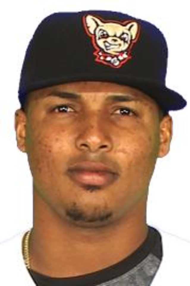José Domínguez Stats, Fantasy & News | MiLB.com